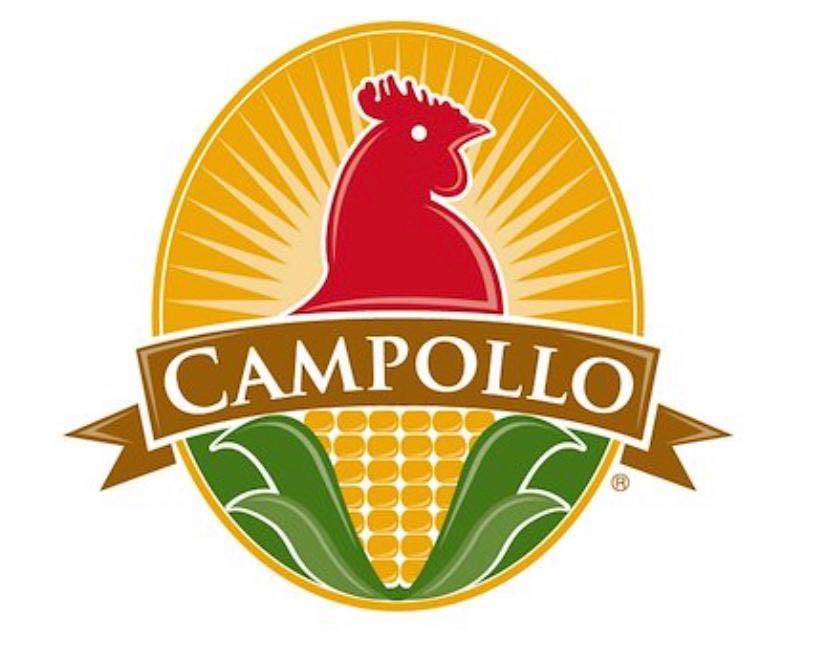 CAMPOLLO – Campollo